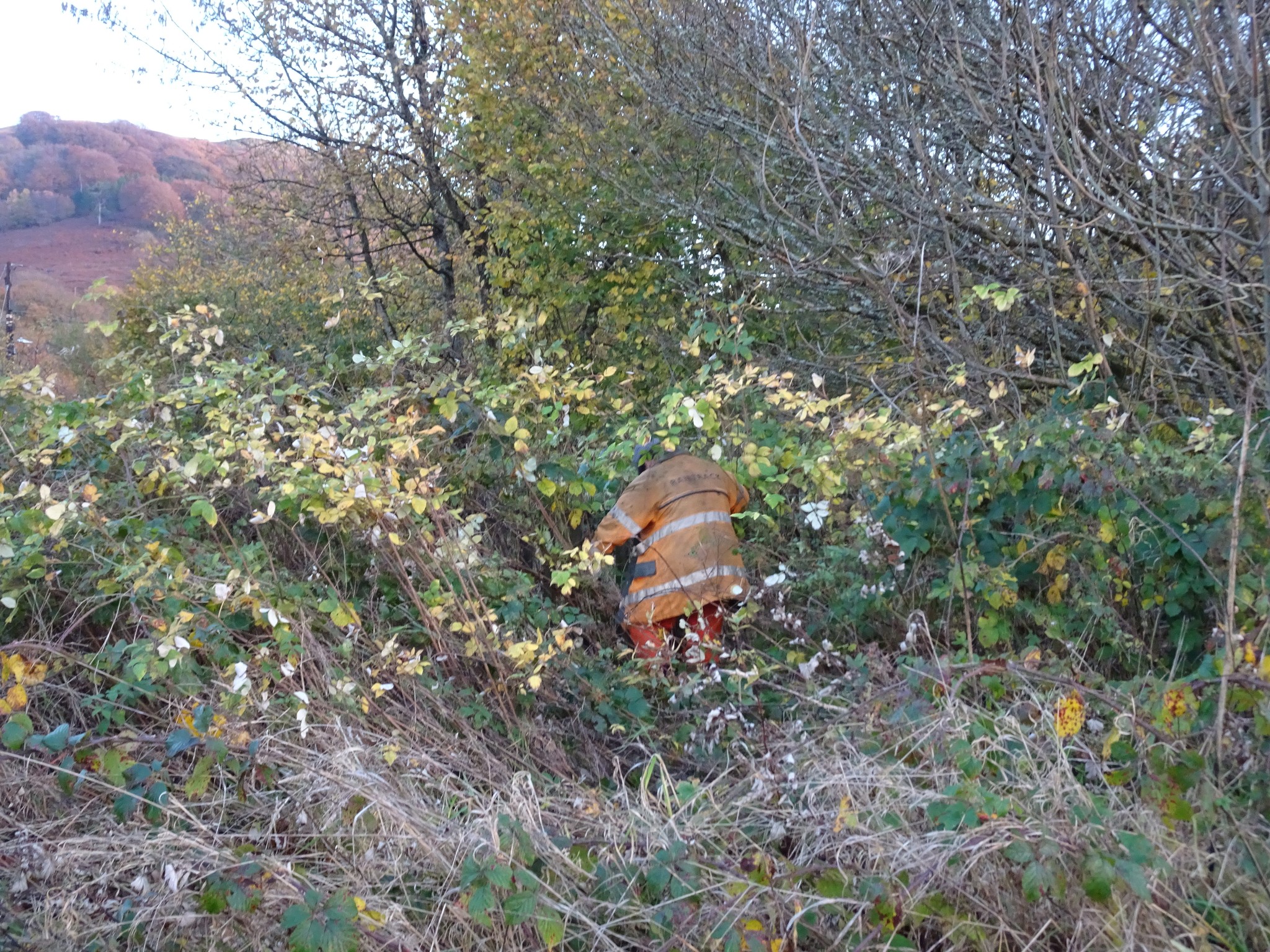 BLR News – November/December 2022 Edition – Bala Lake Railway