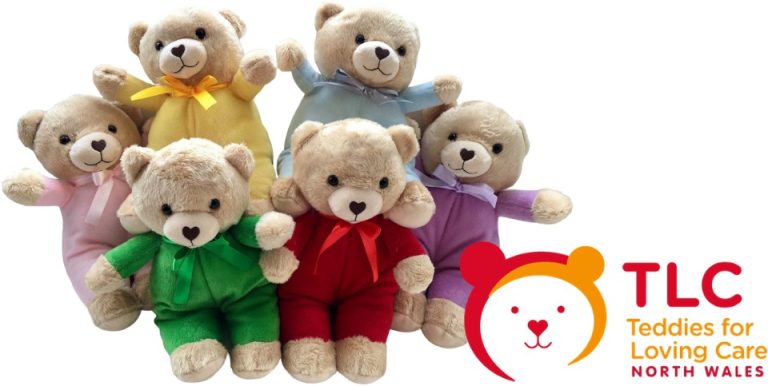 TLC Teddies Grand Day Out – Bala Lake Railway